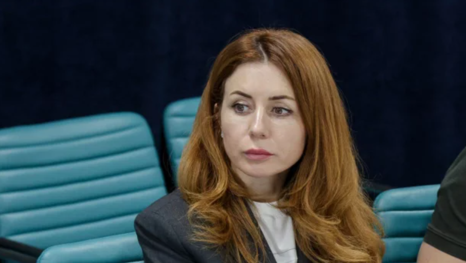 Світлана Гринчук розповіла про 7 млн євро для розвитку Чорнобильської ...